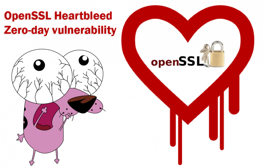 Heartbleed, el bug que pone en peligro dos tercios de la información en ...